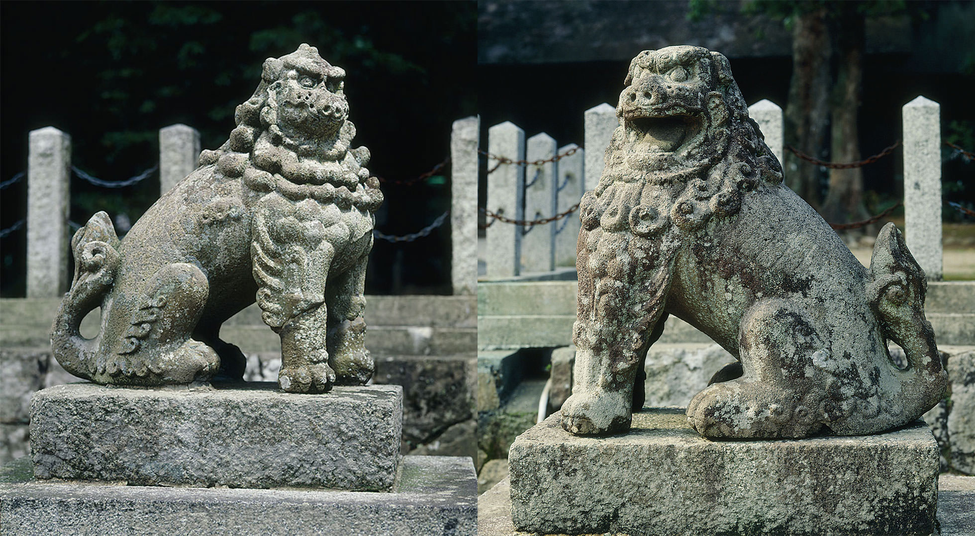Dogs | STORIES | JAPAN HOUSE