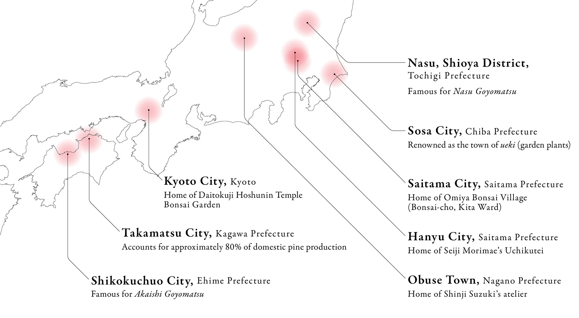 Bonsai | STORIES | JAPAN HOUSE